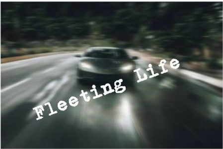 Fleeting Life !!! – My100Dreams.Com